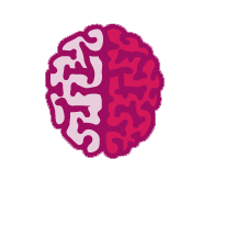 cerebrito | Campus de RedEMC.net